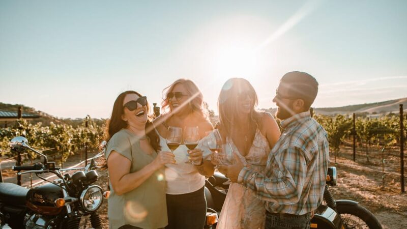 Paso Robles: Vineyard Rides Wine Adventure - Who Would Love This Tour?