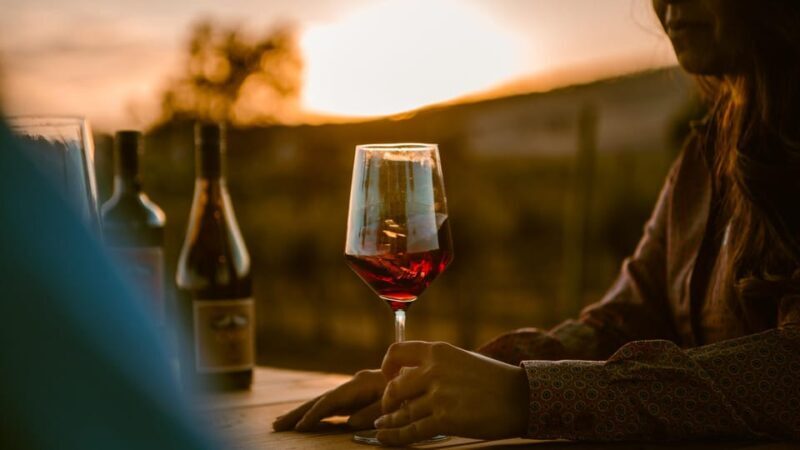 Paso Robles: Vineyard Rides Wine Adventure - Final Thoughts