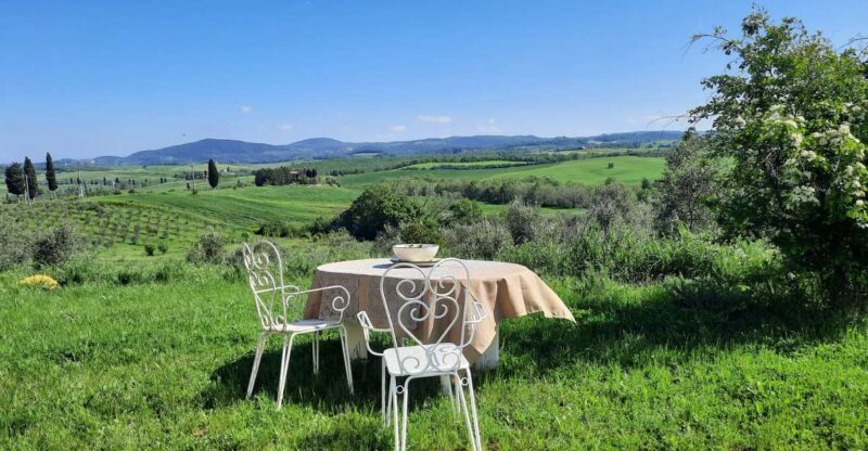 Passeggiando nell'uliveto: come nasce l'olio extrav d'oliva? - Key Points