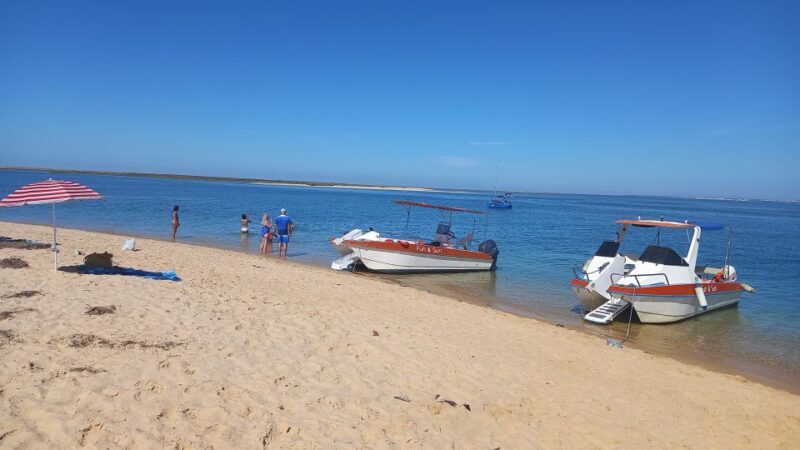 Passeio Barco na Ria Formosa 5H - What You Can Expect from the 5-Hour Boat Tour