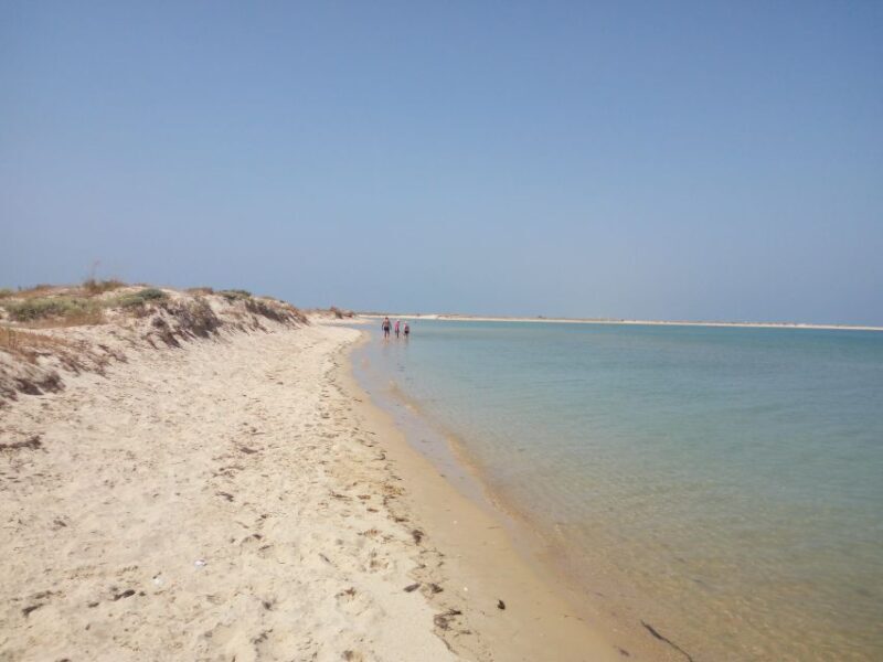Passeio Barco na Ria Formosa 5H - Who Is This Tour Best For?