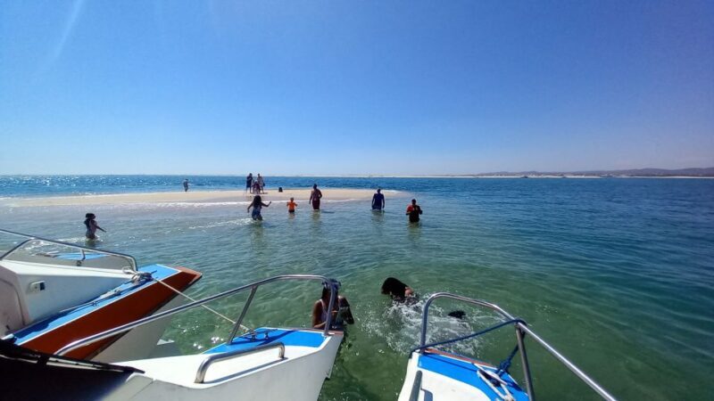 Passeio de barco na Ria Formosa 3H - An In-Depth Look at the Experience