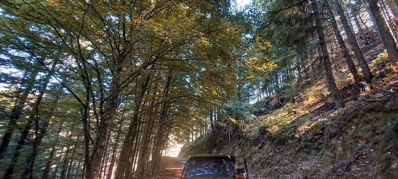 Passeio Guiado em 4x4 para conhecer a Serra da Estrela - Key Points