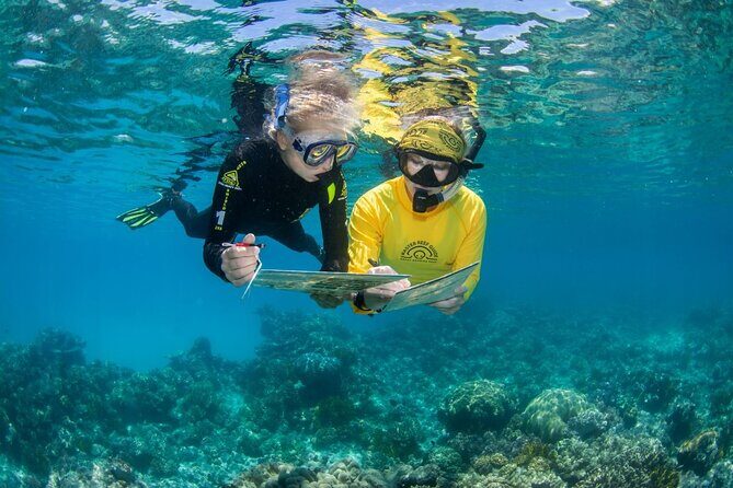 Passions of Paradise Great Barrier Reef Cruise by Catamaran - Food and Refreshments