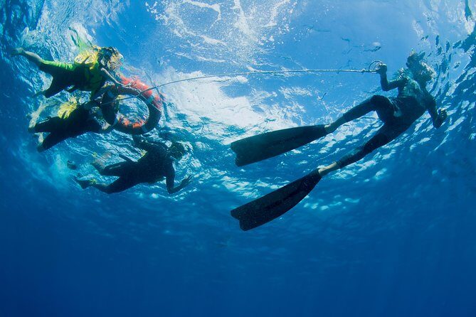 Passions of Paradise Great Barrier Reef Cruise by Catamaran - The Crew and Naturalist Guides