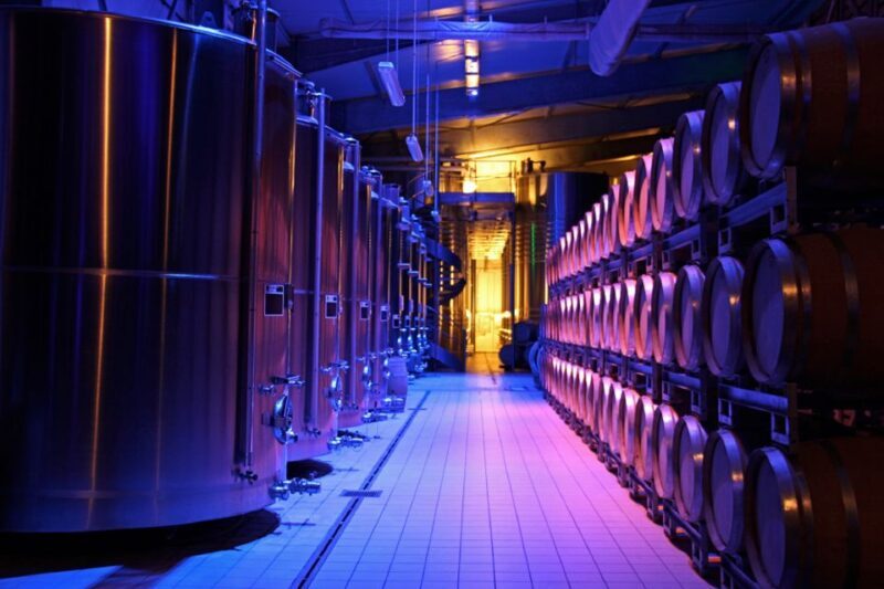 Passy-Grigny: Chocolate and Champagne Tasting Tour - Pricing and Value: Does It Justify the Cost?