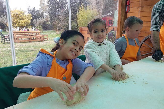 Pasta and Pizza Master Class and Tiramisu tasting - Authenticity and Personal Touches