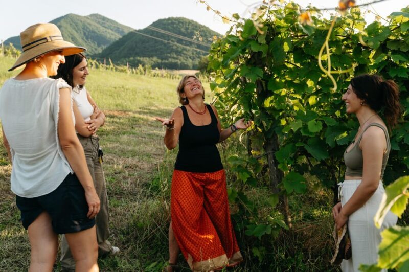 PASTA and WINE: An experience between greenery and peace, taste and companionship - Why This Experience Is Worth Considering