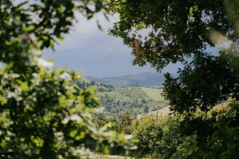Pasta Class with Parmigiano & Balsamic Tour from Bologna - The Sum Up