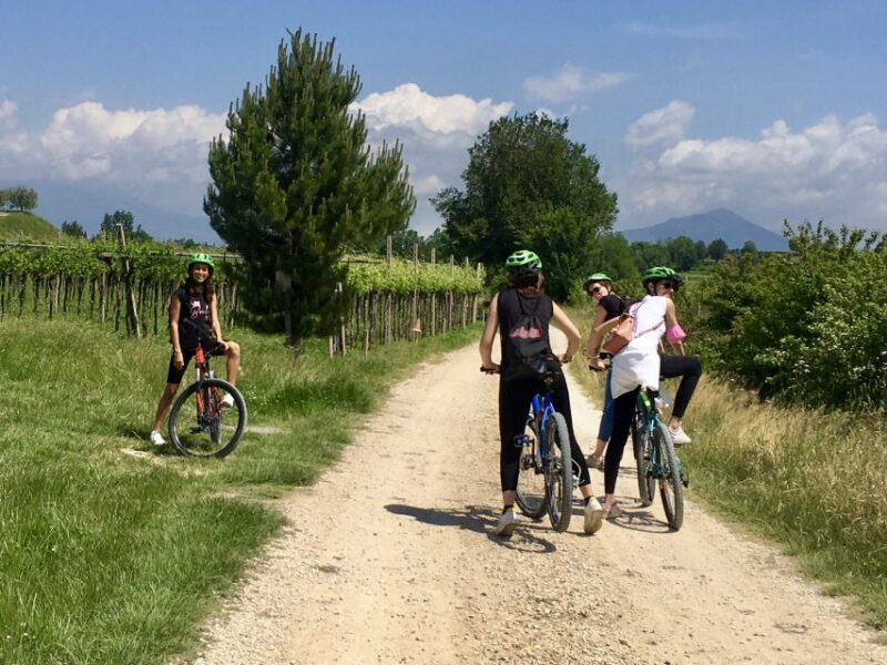 Pastrengo: e-bike tour and wine tasting in the Castle - The Sum Up: Who Will Love This Tour?