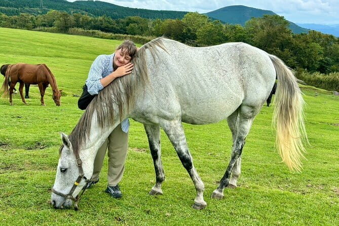 Pasture Hike with Horse Whisperer at Horse Trust in Kagoshima - Pasture Hike with Horse Whisperer at Horse Trust in Kagoshima: An Authentic Encounter with Nature and Horses