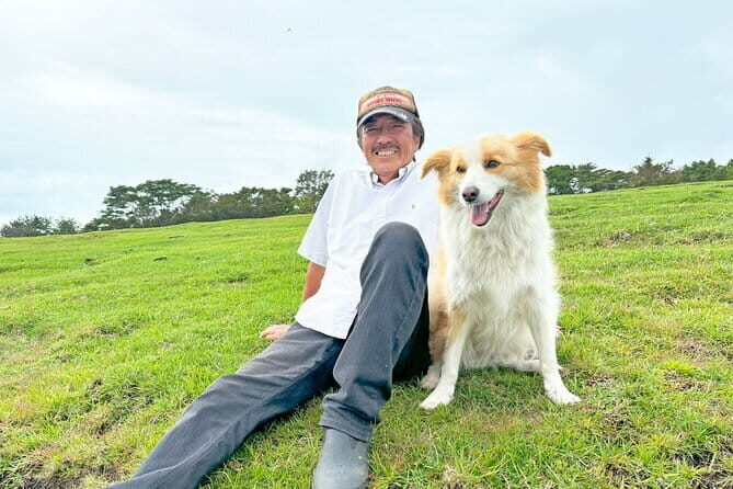 Pasture Hike with Horse Whisperer at Horse Trust in Kagoshima - The Itinerary: A Closer Look