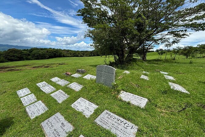 Pasture Hike with Horse Whisperer at Horse Trust in Kagoshima - Who Will Love This Tour?