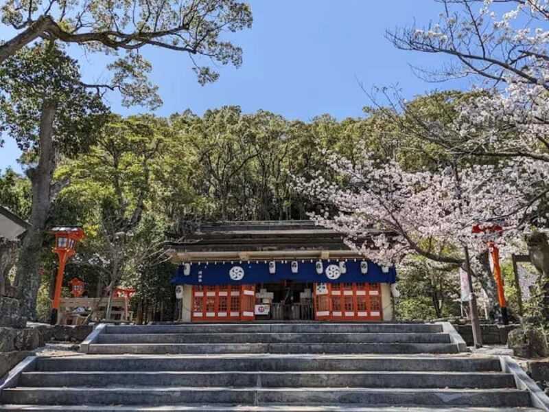 Paths of Serenity: Discover Nagasakis Quiet Adventures Tour - Who Will Love This Tour?