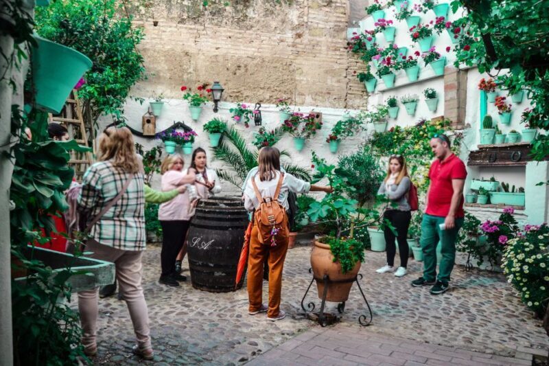 Patios of Cordoba Walking Tour - Key Points