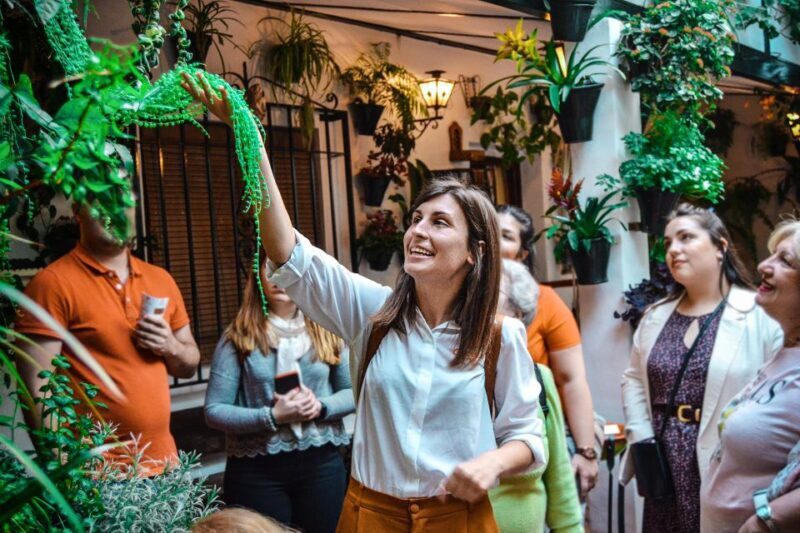 Patios of Cordoba Walking Tour - The Itinerary: What You Can Expect