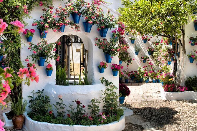 Patios tour in Cordoba - The Itinerary Breakdown: What You Can Expect