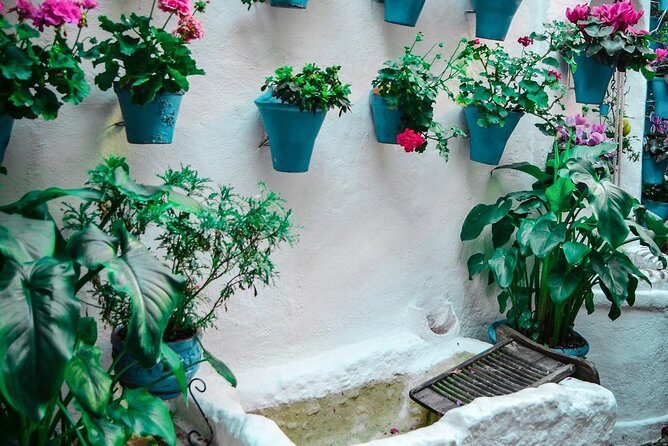 Patios tour in Cordoba - Considerations Based on Reviews