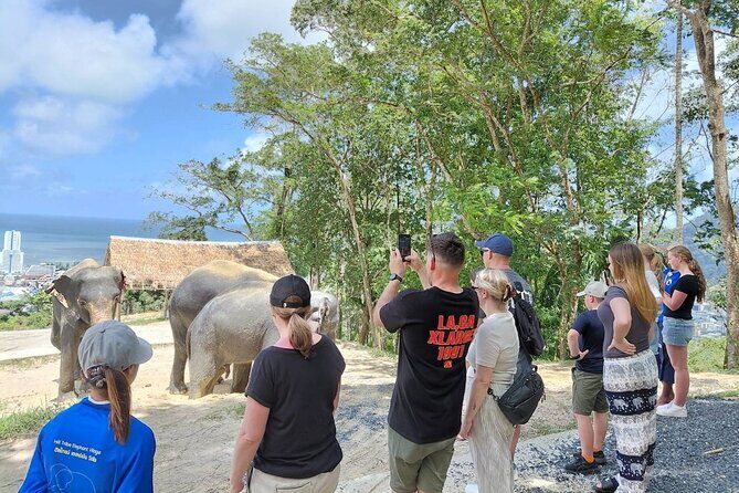 Patong Highlight Elephant Sanctuary with Guide Tour - Observing Elephants in the Forest