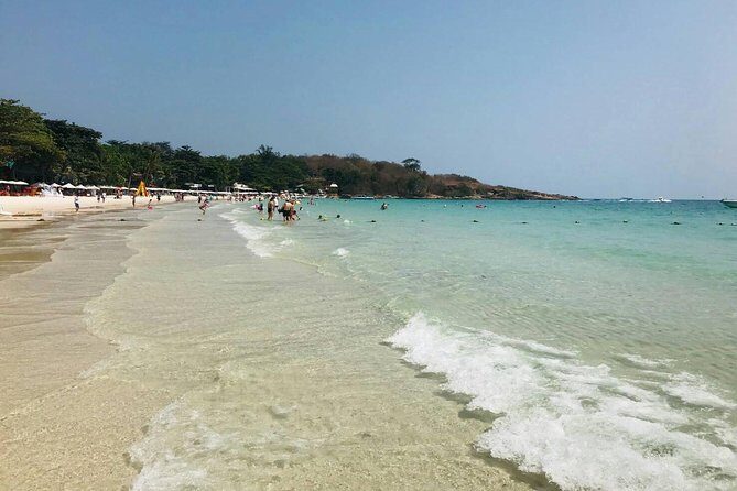 Pattaya : Coral Island Tour by Speedboat with Indian Lunch & Pick Up from Hotel - The Pros and Cons: What Travelers Say