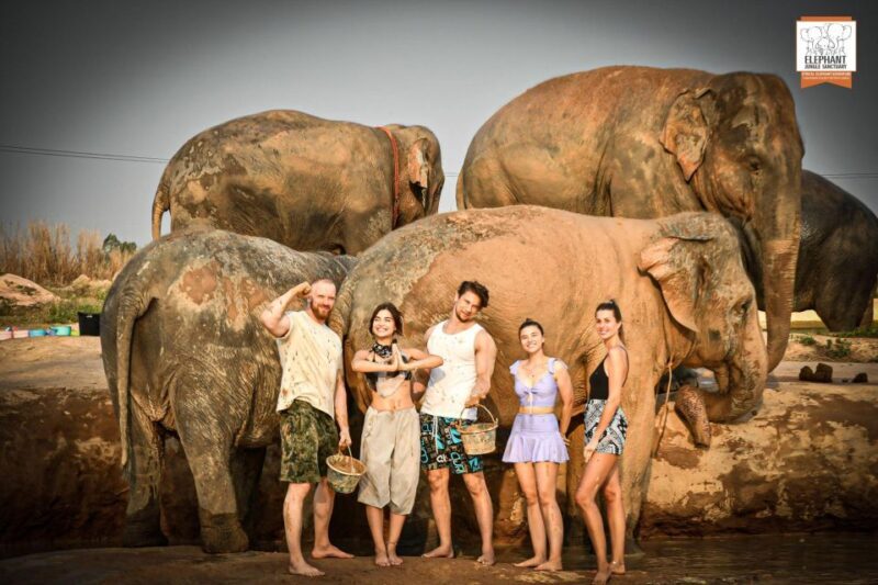 Pattaya: Elephant Jungle Sanctuary Feeding Experience - An Introduction to the Elephant Jungle Sanctuary Pattaya Experience