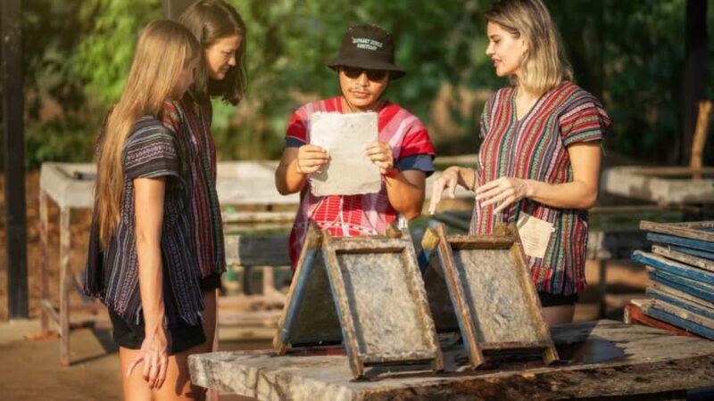 Pattaya: Elephant Jungle Sanctuary Half-Day Tour with Meal - Key Points