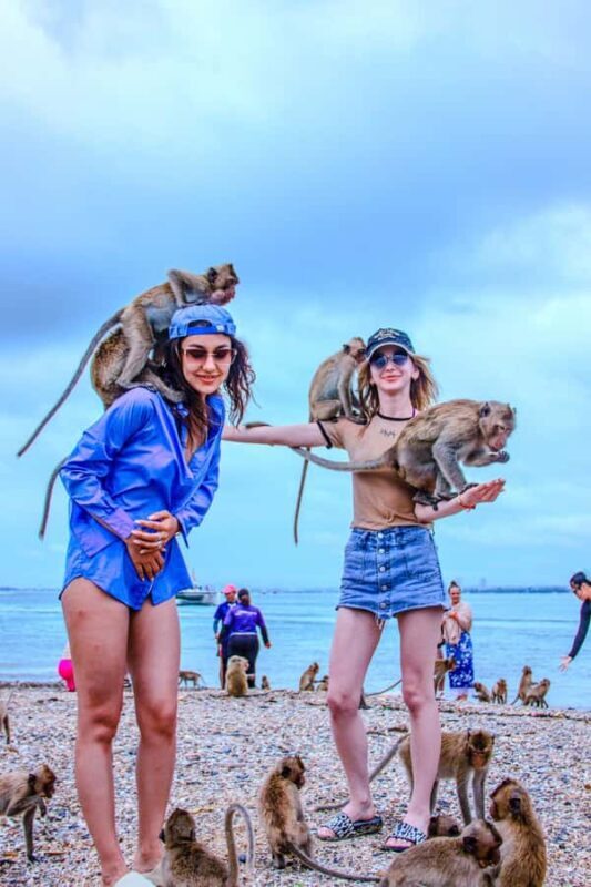 Pattaya: Exclusive 3-Island Catamaran Tour with Buffet Lunch - What to Expect on the Pattaya 3-Island Catamaran Tour