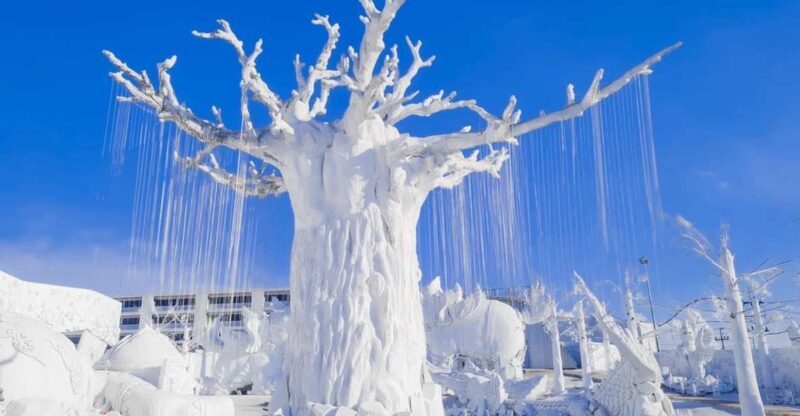 Pattaya: Frost Magical Ice of Siam Entry Ticket - The Practicalities: Price, Duration, and Convenience