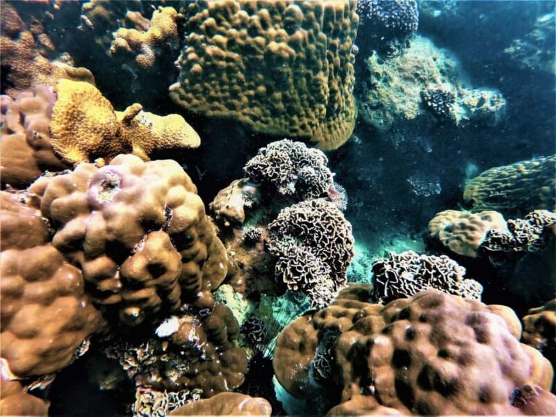 Pattaya: Full-Day 2 Islands Yacht Trip with Lunch and Sunset - Practical Considerations