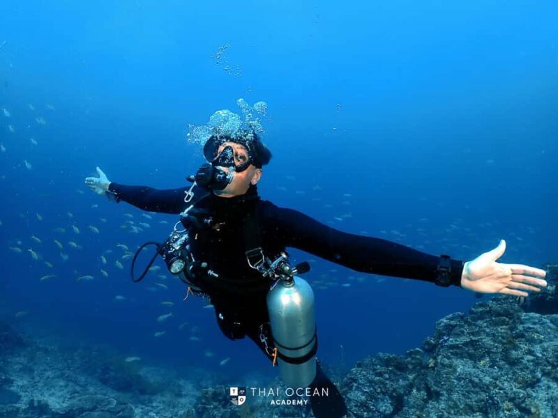 Pattaya: Fun Dive 2 Ocean Dives and Lunch (Certified Diver) - The Value of This Dive Experience