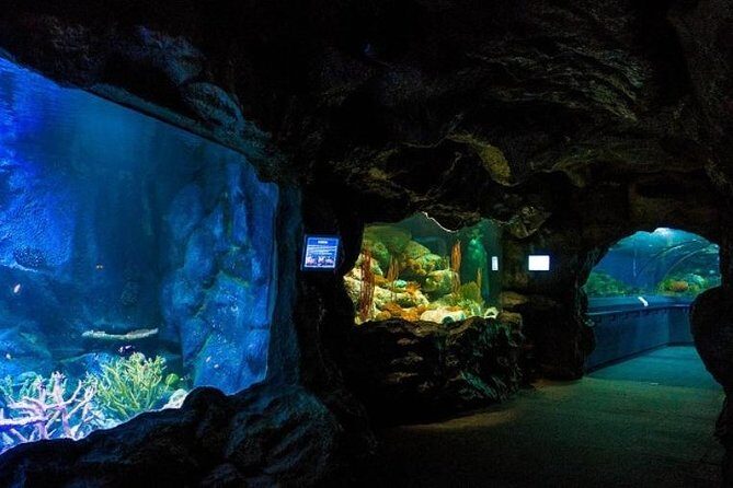 PATTAYA: Join Tour Under Water World Pattaya - Key Points