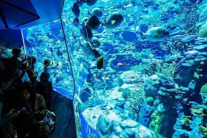 PATTAYA: Join Tour Under Water World Pattaya - Deep Dive into the Details
