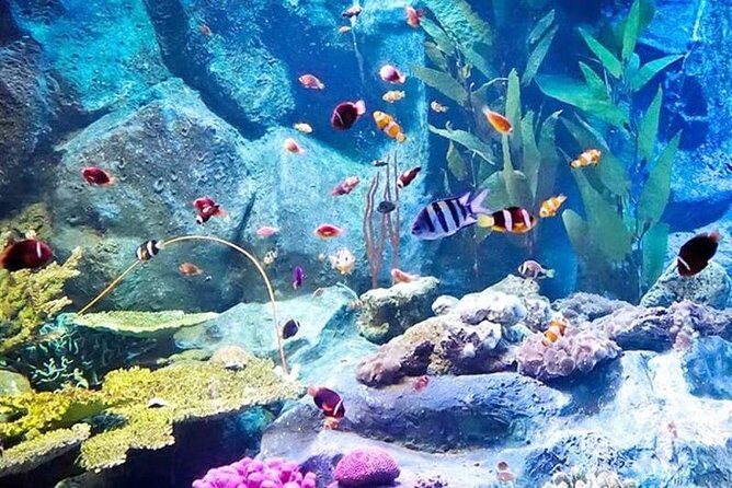 PATTAYA: Join Tour Under Water World Pattaya - Final Thoughts