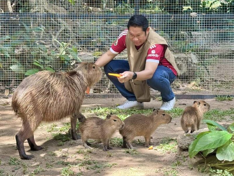 Pattaya: Khao Kheow Zoo & J-Park Japanese Village Day Trip - Key Points