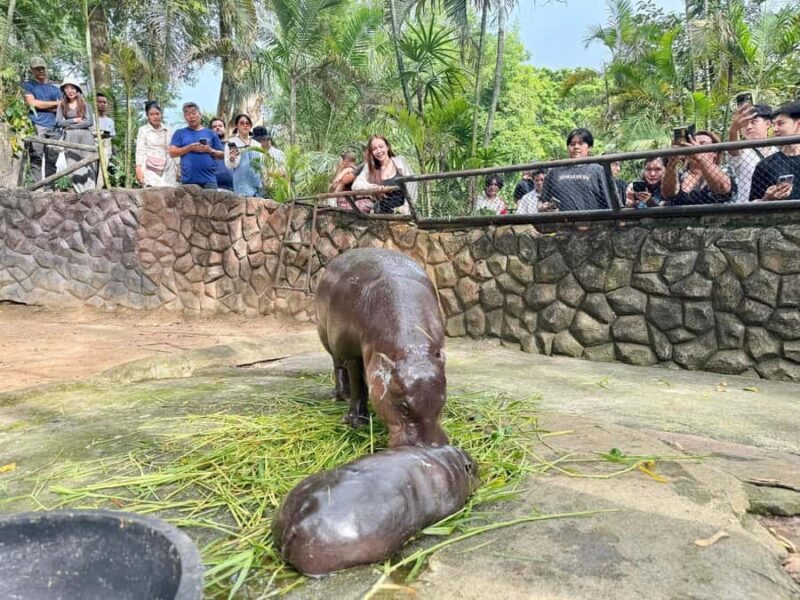Pattaya: Khao Kheow Zoo & J-Park Japanese Village Day Trip - An In-Depth Look at the Tour Experience