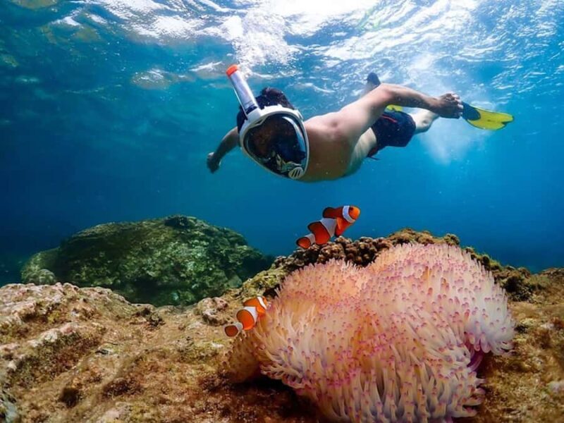 Pattaya: Nemo Island Experience with Drone Photos and Lunch - Transportation and Group Dynamics