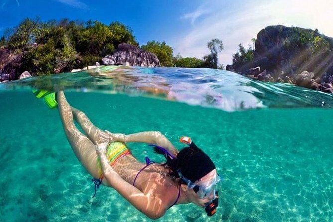 Pattaya PADI Beginner Scuba Diving One Try Dive Depth 6 Meters and Snorkeling ) - What to Expect During Your Pattaya Introductory Underwater Experience