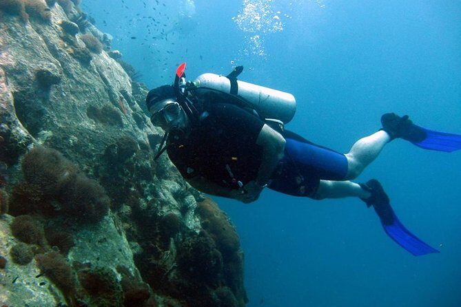 Pattaya PADI Scuba Diving Two Exciting Try Dives with PADI Instructor in Pattaya - The Vibe & Group Dynamics