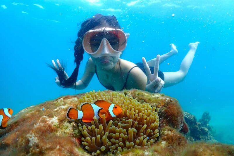 Pattaya: Private Speedboat Nemo Island with Snorkel & BBQ - Key Points