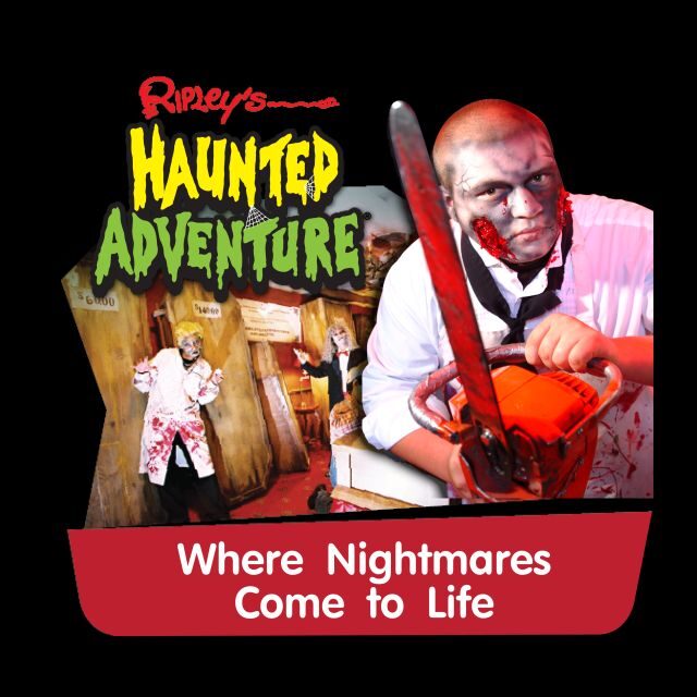 Pattaya: Ripleys Believe It or Not! Entry Ticket - Key Points