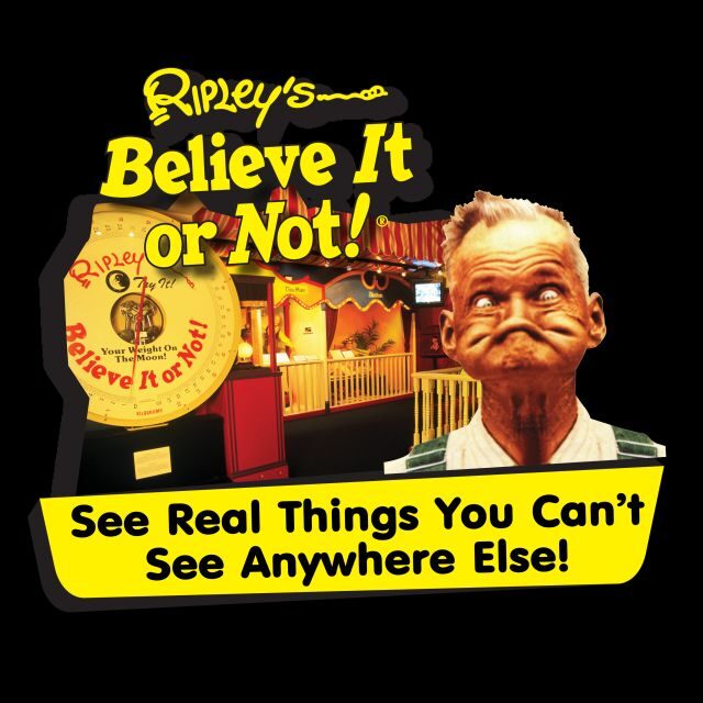 Pattaya: Ripleys Believe It or Not! Entry Ticket - Authenticity and Visitor Experience: Weighing the Pros and Cons