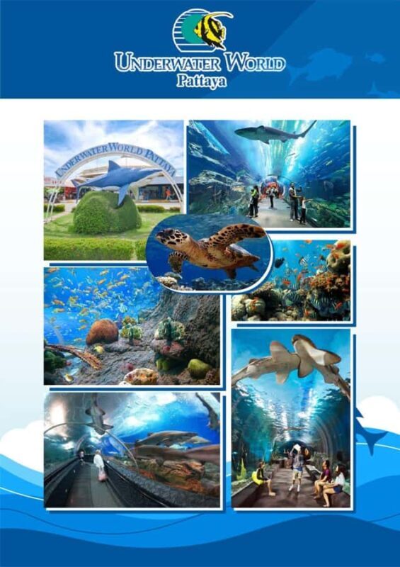 Pattaya Tour  City tour & Top Sights Customizeable - Final Words