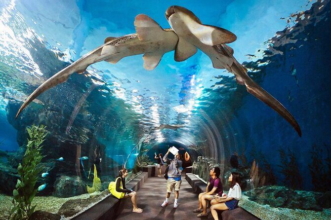 Pattaya Underwater World Admission Ticket - Key Points