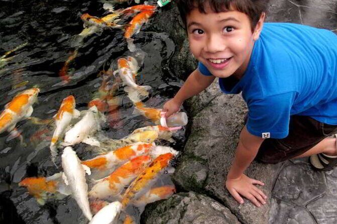 Pattaya Underwater World Admission Ticket - An Overview of Pattaya Underwater World