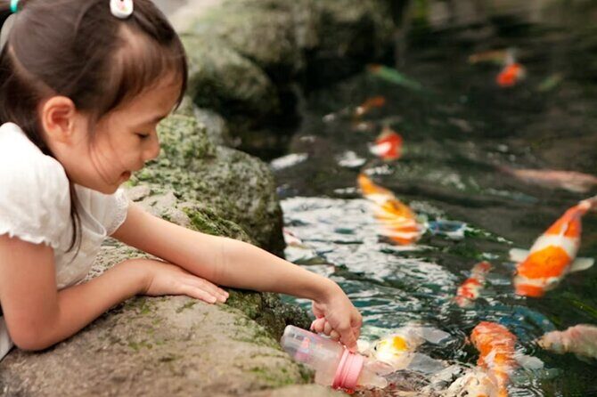 Pattaya Underwater World Admission Ticket - Authentic Visitor Perspectives