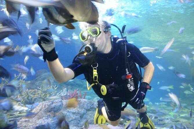 Pattaya Underwater World - Discover Ocean Treasures - Introduction: Is Pattaya Underwater World Worth Your Time?