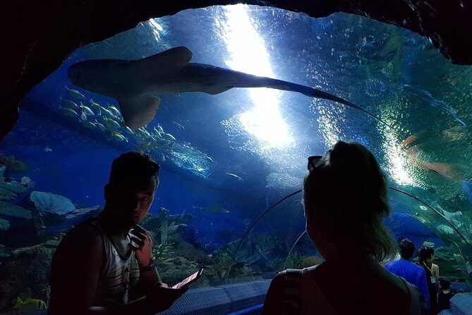 Pattaya Underwater World - Discover Ocean Treasures - A Closer Look at the Experience