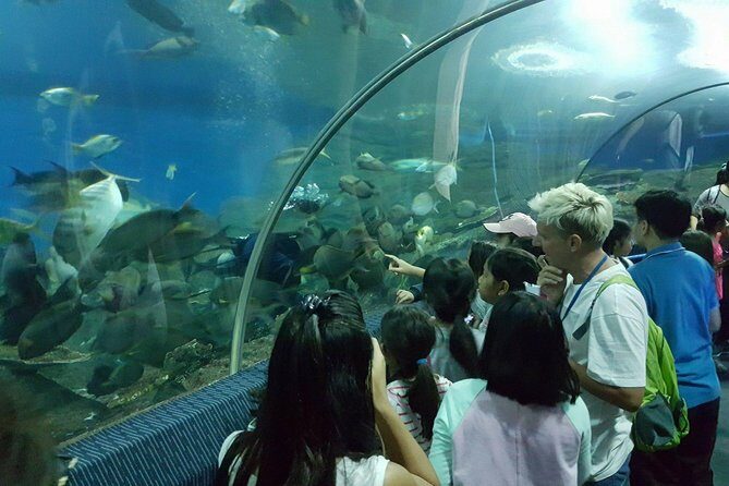 Pattaya Underwater World - Discover Ocean Treasures - FAQ