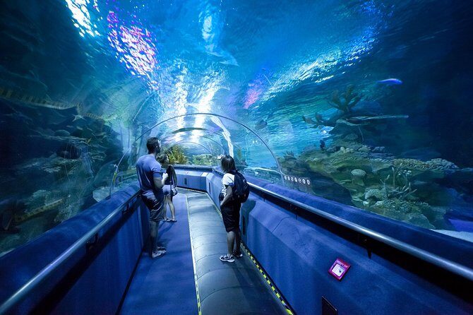 Pattaya Underwater World Entrance Ticket - The Exhibits: What You’ll See