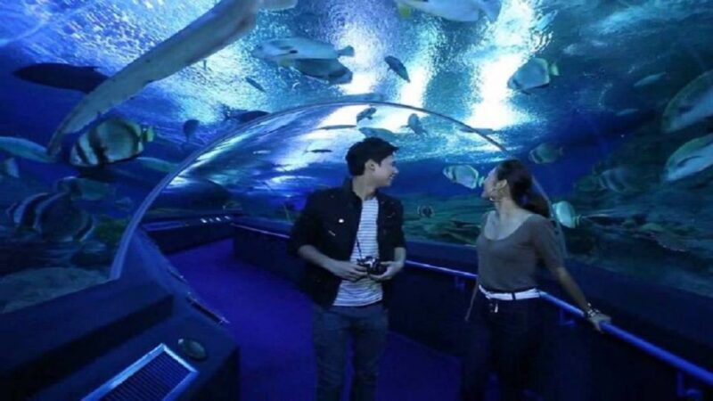 Pattaya: Underwater World Pattaya Aquarium Admission Ticket - Final Thoughts on Value